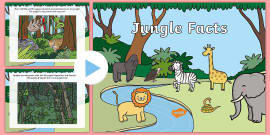 Jungle Animal Jigsaws (teacher made)