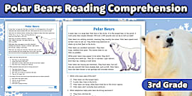 Third Grade Chinese New Year Reading Comprehension Worksheet