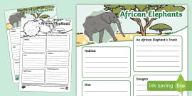 Elephant Fact File Template,elephants (Teacher-Made)
