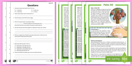 KS1 Orangutans Differentiated Reading Comprehension Activity
