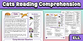 Rainbows Reading Passage Comprehension Worksheet for ELL