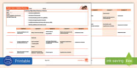 Grade 1 Phonics: Term 1: Term Planner