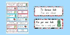 Classroom Equipment Labels in Te Reo Maori - NZ Class