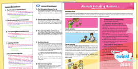 Science: Animals Including Humans: Transporting Water and Nutrients Year 6