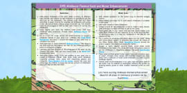 Minibeast-Themed Ideas for Activity Trays | EYFS - Twinkl