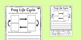 FREE! - Life Cycle of a Frog Display Banner - header, display, lifecycles