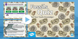 Soil and Rocks Year 3 PowerPoint Quiz (Teacher-Made)
