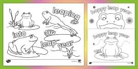 Leap Year Time Capsule Activity Sheet (teacher made)