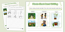 KS1 Fantasy Short Burst Writing Template (teacher made)