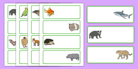 Editable Drawer Labels for the Classroom - Minibeasts Theme