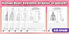 Body Systems Word Wall