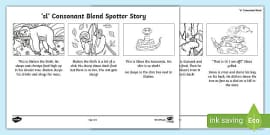 Phonics SL Word Cards - Literacy Resources (teacher made)
