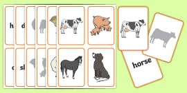 Zoo Animals Matching Cards (teacher made)
