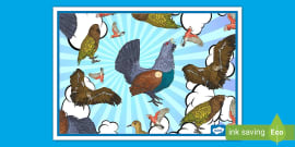 Seed Dispersal by Animals Display Poster (teacher made)