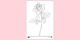 Bunch Of Roses Colouring Page