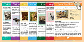 Desert Animals Word Mat (Teacher-Made) - Twinkl