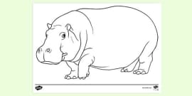 Hippo Info Worksheet | Worksheet | Early Years | Animal