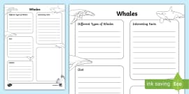 EYFS Whale Body Parts Labelling Activity (teacher made)