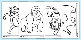 Animal Pictures to Colour in for Kids | KS1 Colouring Sheets