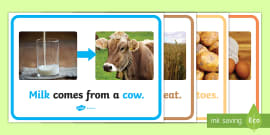 Where Does Food Come From Worksheet (teacher made) - Twinkl