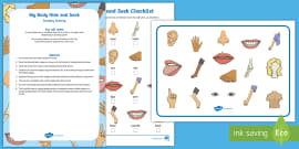 Farm Animals 'Hide and Seek' Sensory Activity (teacher made)