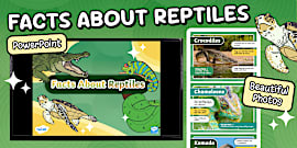Reptiles Photo PowerPoint - Twinkl - KS1