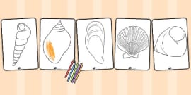 Summer-Themed Colouring Sheets (teacher made)