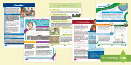 KS2 Non-Chronological Reports Display Pack (teacher made)