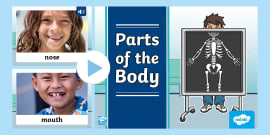 FREE! - Counting Our Body Parts Cut-Out Activity