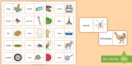 Dominos : Le son [o] (teacher made)