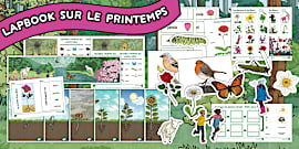 Fiches pédagogiques printemps | Ressource Twinkl
