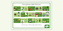 Grade 3 Phonics Mini Book Homophones (teacher made) - Twinkl