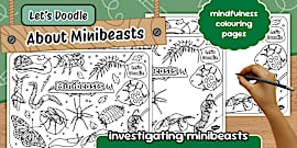 I Spy and Count Minibeasts Colouring Pages