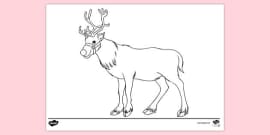 FREE! - Polar Bear Colouring | Colouring Sheets - Twinkl