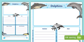 Dolphins Word Search (teacher made) - Twinkl