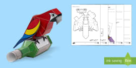 Parrot Art Paper Model - Twinkl Primary Resources - Twinkl