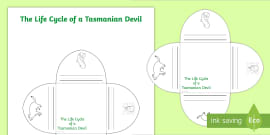 Tasmanian Devil Life Cycle Worksheets (teacher made)