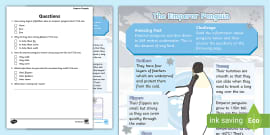 Emperor Penguin Life Cycle Worksheet (Teacher-Made) - Twinkl