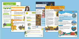 KS1 December Differentiated Reading Comprehension Activity Pack