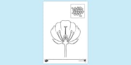 FREE! - Winnowing Out Grain Colouring Sheet | Colouring Sheets