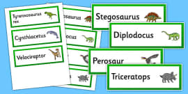 Dinosaur Flashcards - dinosaurs, flash card, visual aid, history