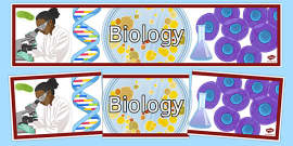 Secondary Science Open Evening Display Banners | Beyond