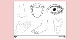 FREE! - My Body Colouring Page for Nursery School | EYFS Colouring