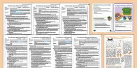 EYFS Maths Compare Groups Planning Pack | Twinkl - Twinkl