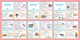 Idiom Loop Cards (teacher made)