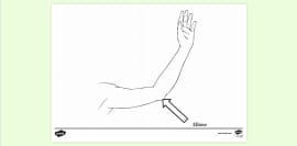FREE! - Distance Time Graph Labelled Points A F | Colouring Sheets