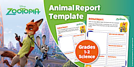 Animal Flip Book Template | Animal Facts | Twinkl USA