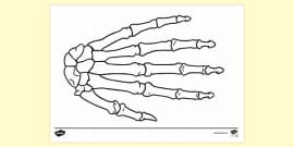 FREE! - Toe Bones Colouring | Colouring Sheets - Twinkl