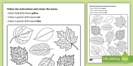 Circles in Halves Colouring Sheet | Colouring Sheets