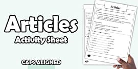 ESL Articles: A/An/The Lesson Pack